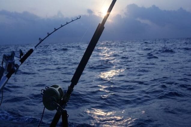 Speedboat exclusive fishing program with NGO Charlie and Lola - NGO ...